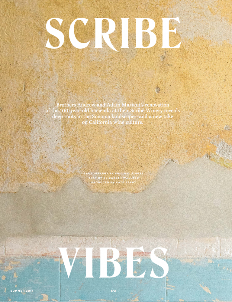 Scribe Vibes in DOMINO Magazine - Scribe Winery : Scribe Winery