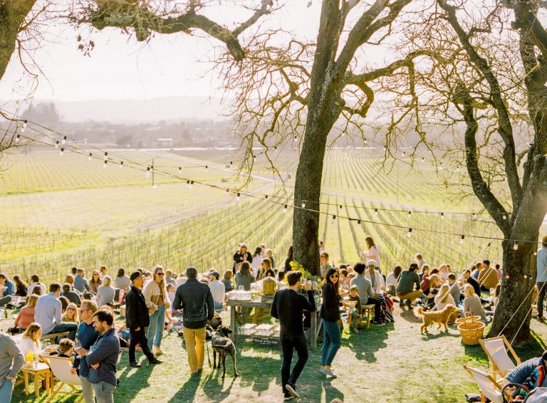CALDO de CALIFORNIA + 2017 ROSÉ - February 2018 SVS Weekend - Scribe ...